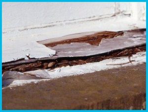 How to deal with Wet Rot, Identifting and Treatment